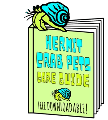 Hermit Crab Poop - Hermit Crab Pets